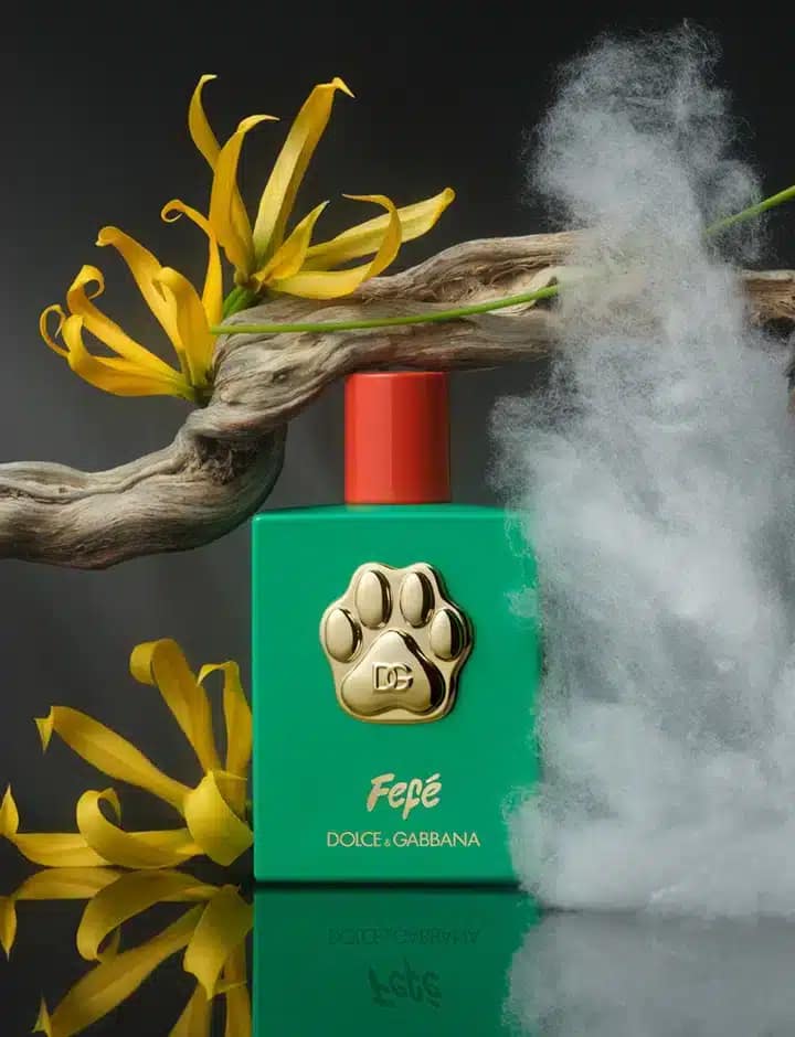 Dolce & Gabbana launches Fefé, a scented mist for dogs - Luxus Plus